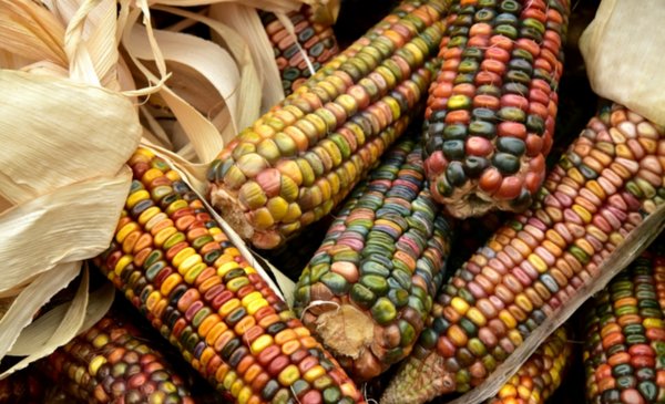 Conoce el significado de los colores para los Mayas