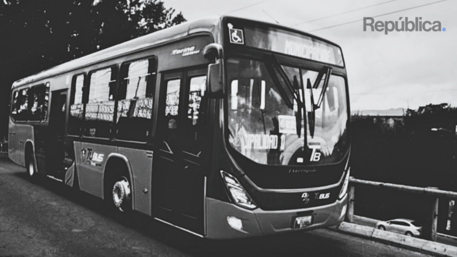 Tu Bus: Adultos mayores pueden usar el servicio gratis